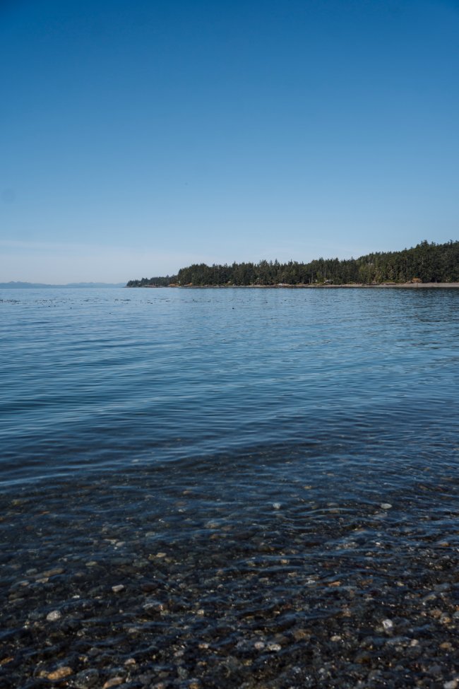 Best Juan de Fuca Stops: The Complete Guide From Sooke to Port Renfrew ...
